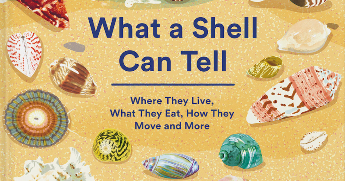 Greyhound Literary • What a Shell Can Tell